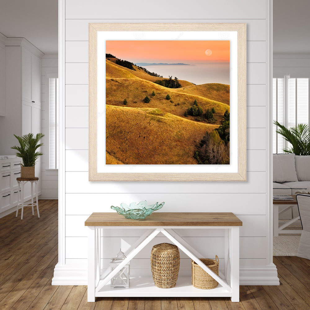 Collections – Spool Photography